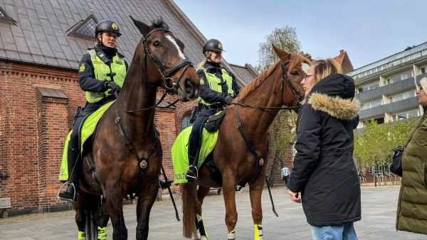 Vrinskende politi i Horsens gader: Heste på patrulje 'nappede' dog kun ...