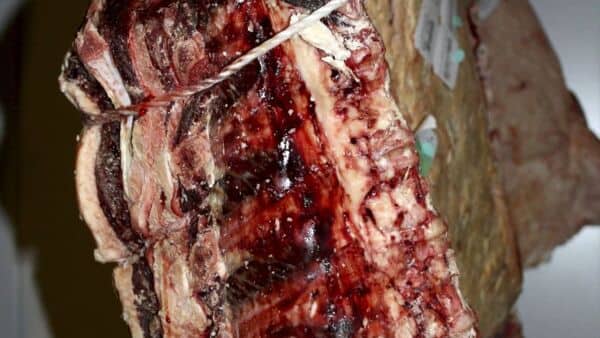 Fotogalleri: Skjern Eksportslagteri gennem tiden | dbrs.dk