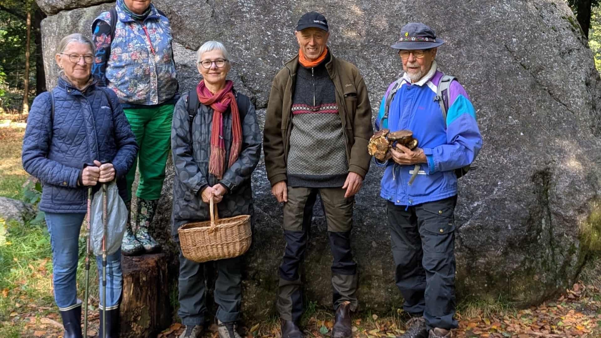 Svampe, sagn og sten fra istiden: Her starter den smukke efterårstur ...