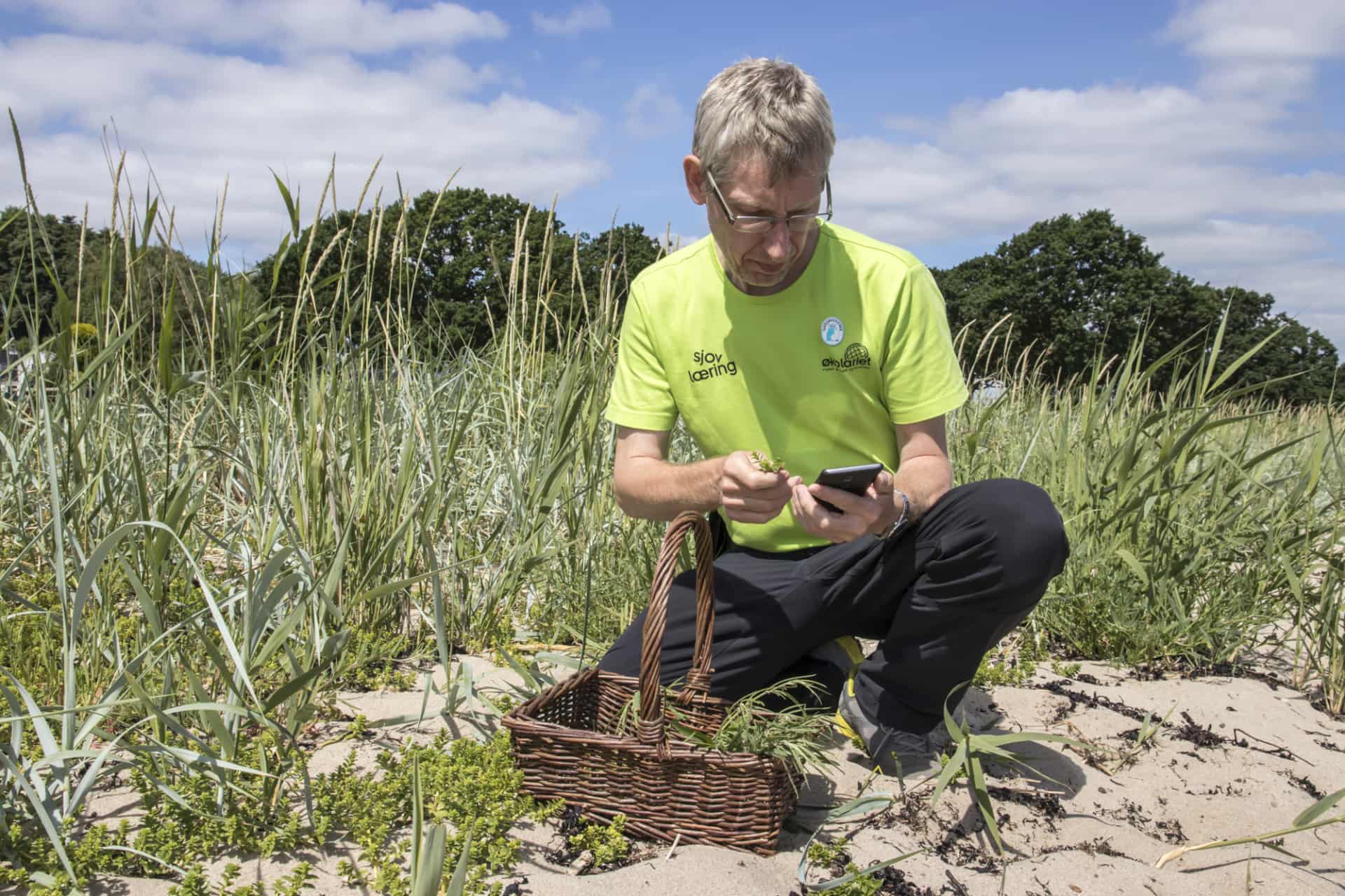 Naturvejleder fører an og giver smagsprøver på naturen ved Vognkær Enge ...