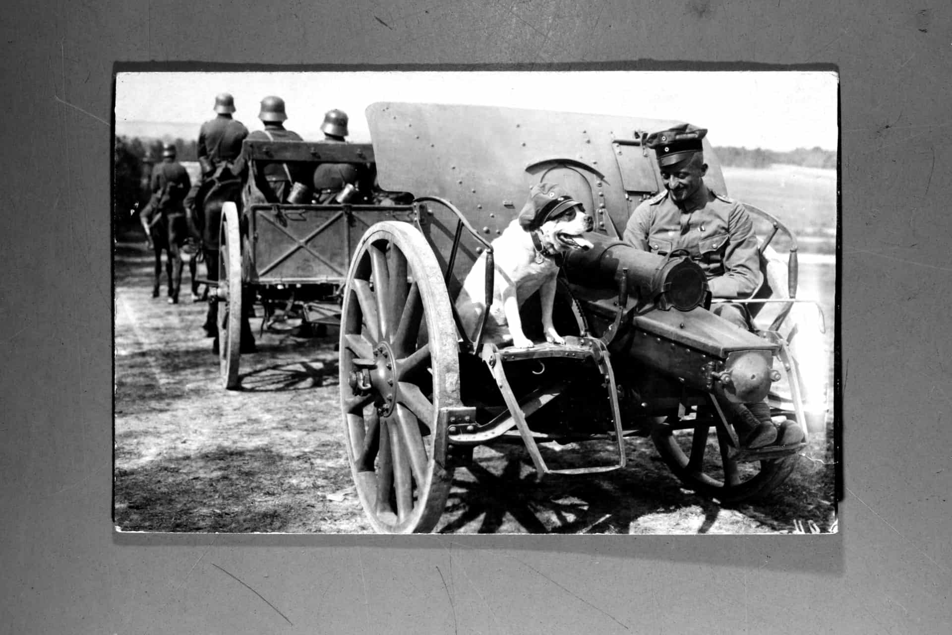 Se hvad der sker: Sønderborg Slot klar med programmet til Historiens ...