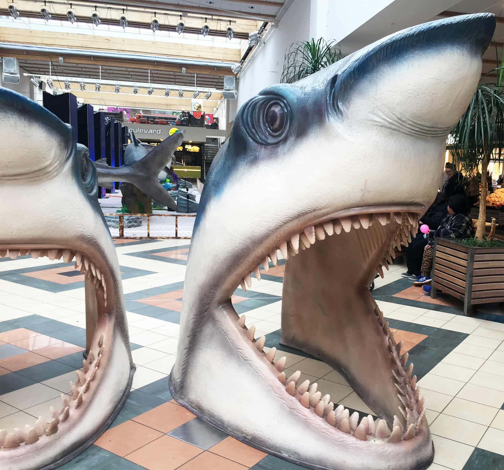 Sig "haj" til en stor fisk i Storcentret | jv.dk