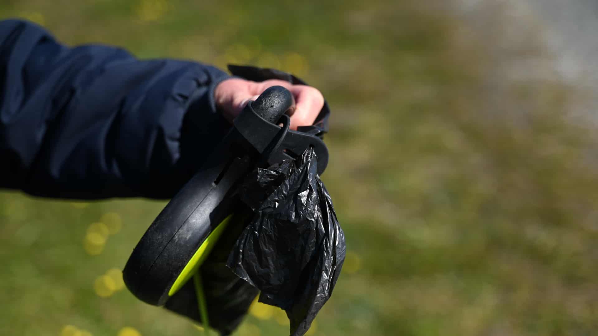 Her kan du få testet dit kæledyrs afføring gratis - kan afsløre ...