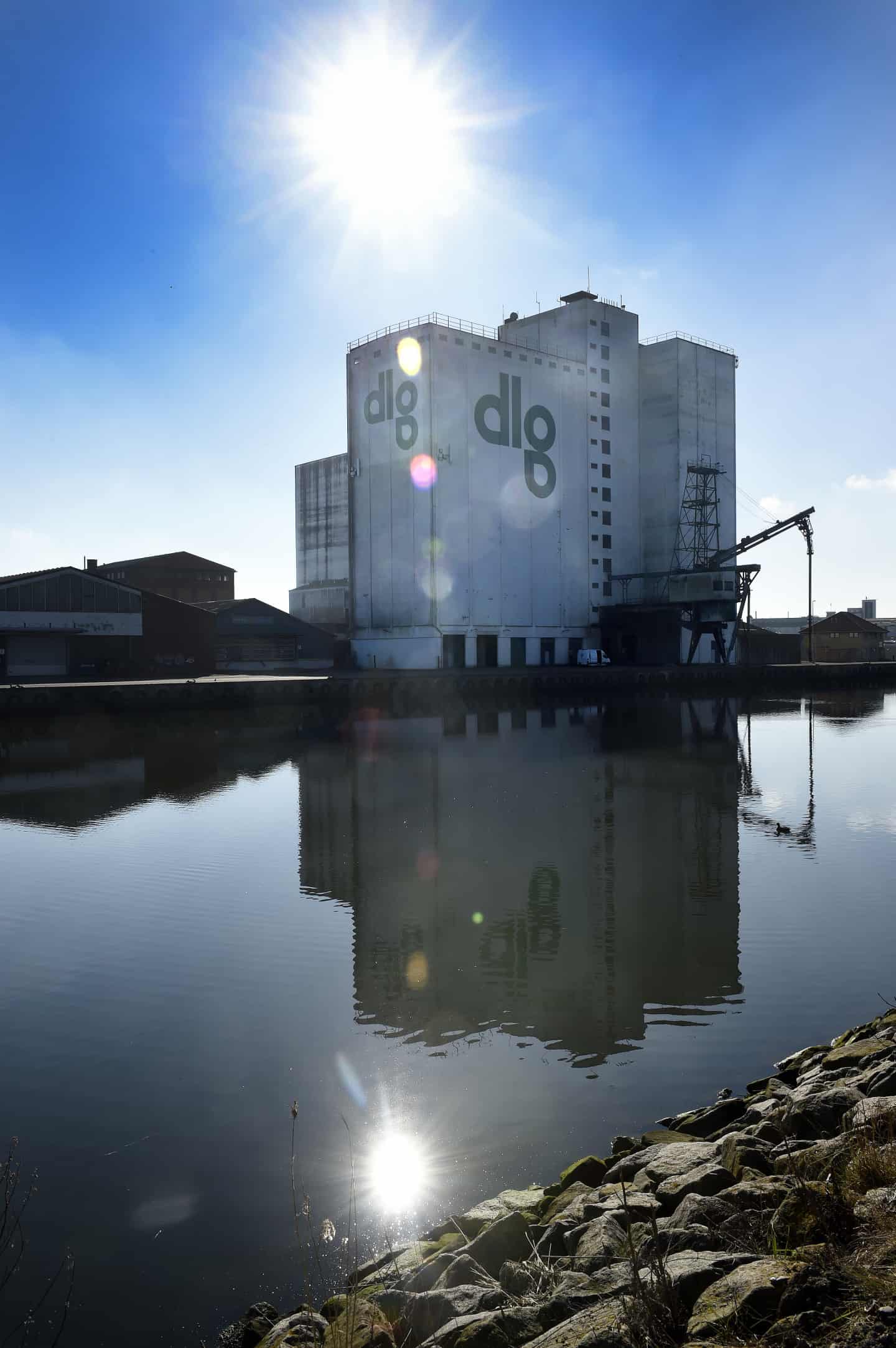 Solen skinner på DLG på Fyn - og i hele landet | fyens.dk