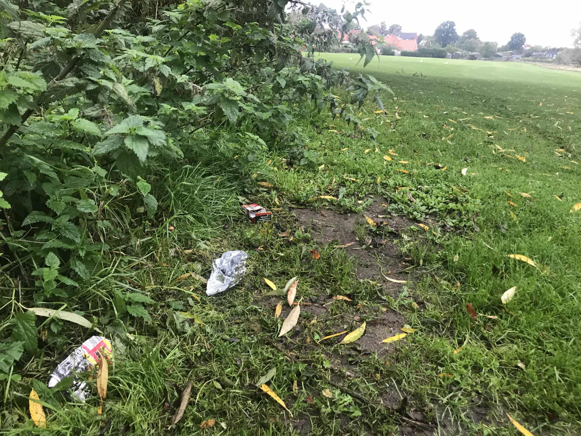 Ryd op efter jer selv, unge mennesker - jeg tror, I kan | ugeavisen.dk