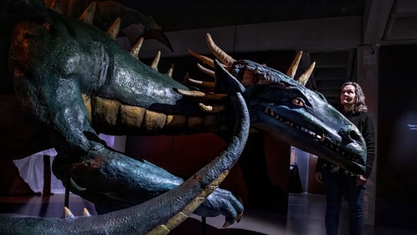 Holstebro Museum åbner endelig igen: Drager, havuhyrer og Slattenpatten ...