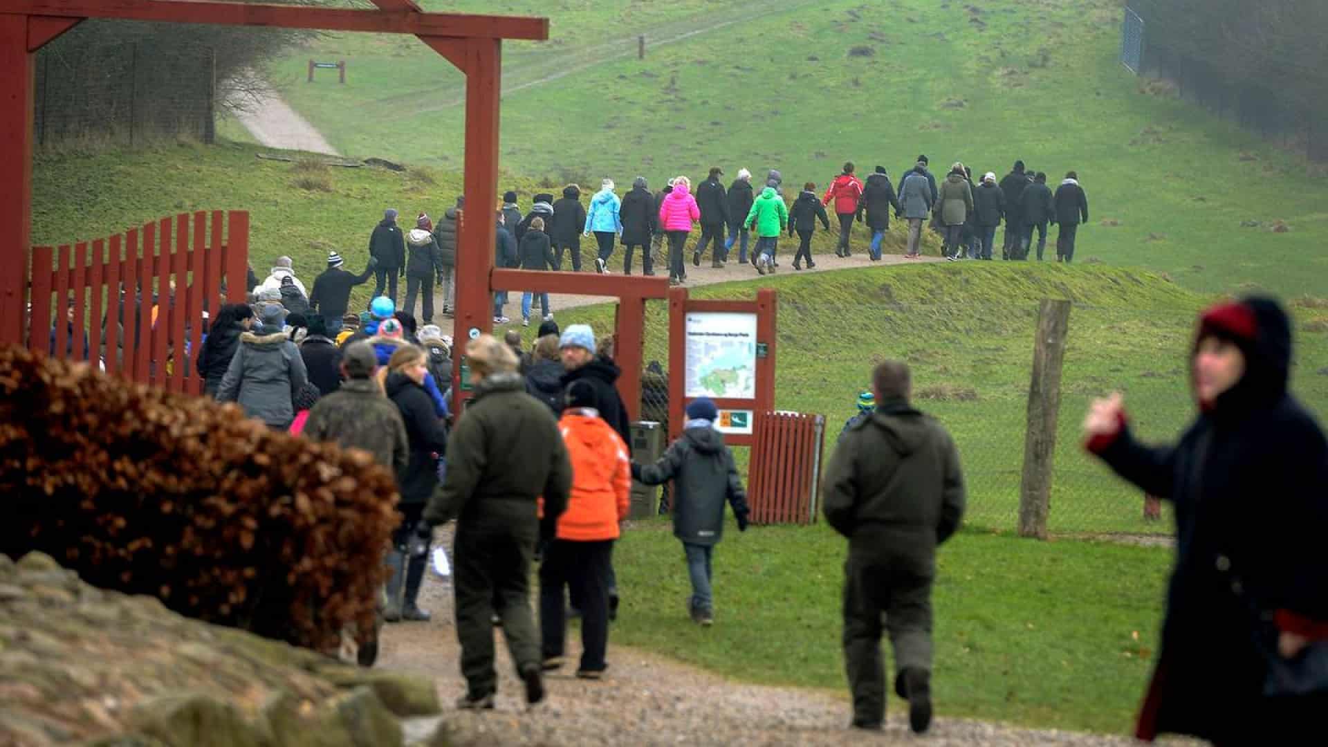 Nytårsturen i Haderslev Dyrehave er aflyst | jv.dk