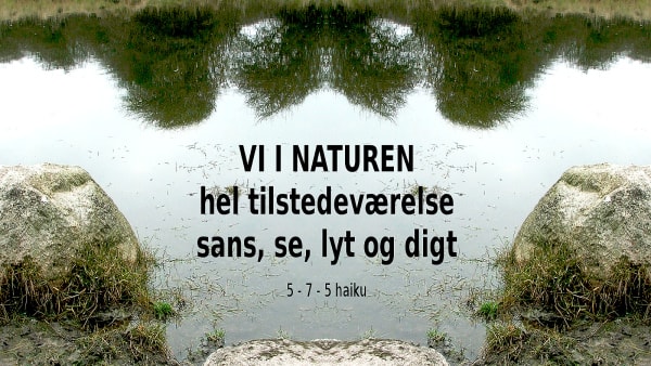 Workshop om haiku-digte | jv.dk