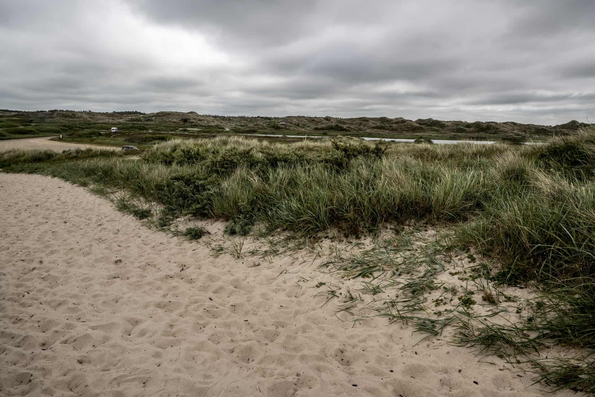 Guide til hemmelige strande: Her kan du opleve naturen uden hunde, køre ...