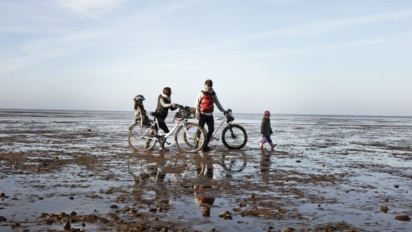 Fra dybe fjorde og skove til marsk og brede sandstrande: Ny cykelrute ...