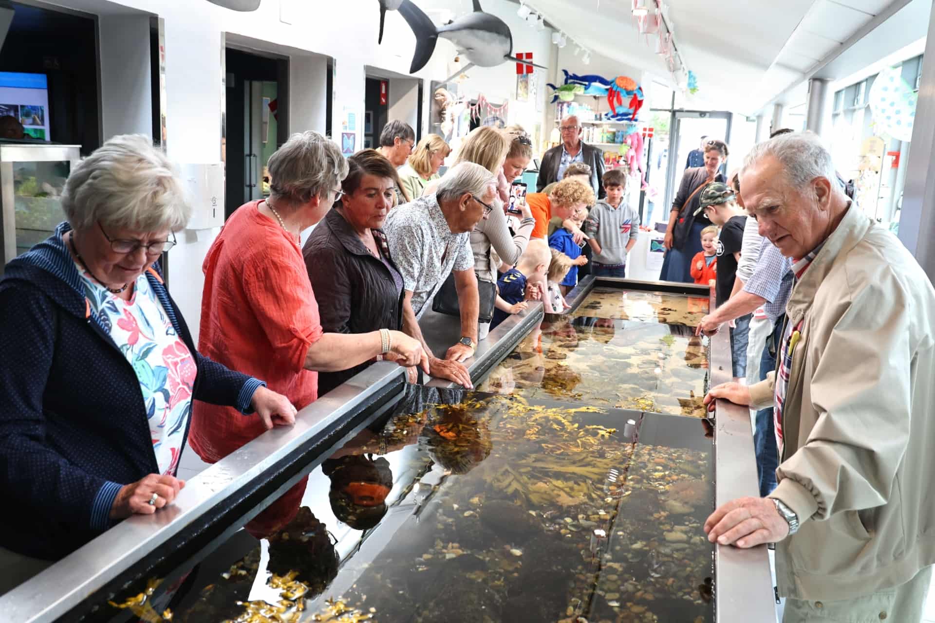 Af hva' for en fisk? Se det store galleri fra Øresundsakvariets 50-års ...