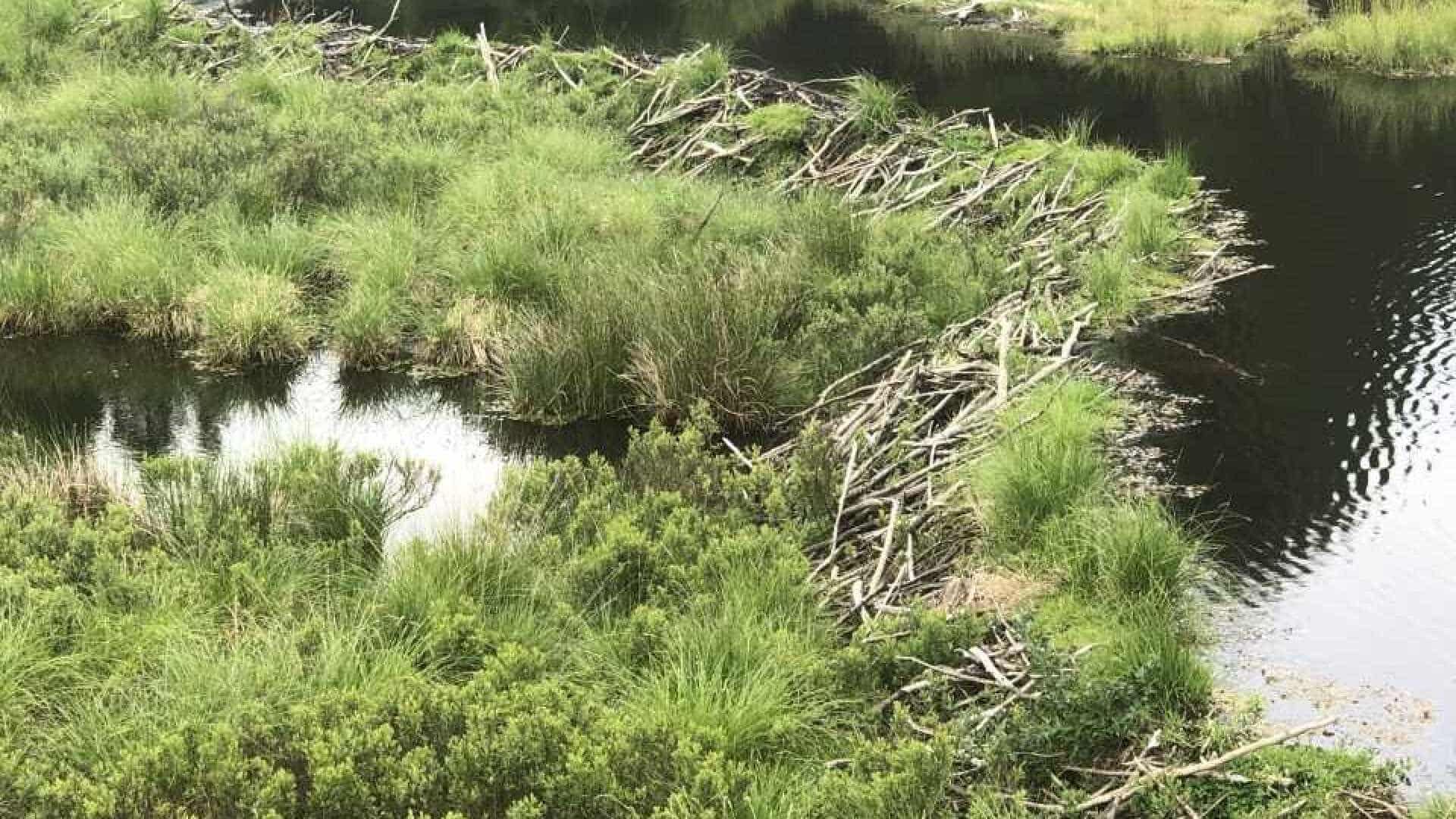 Kirkerne I Struer Provsti Indbyder Til Pilgrimsvandring I Klosterheden