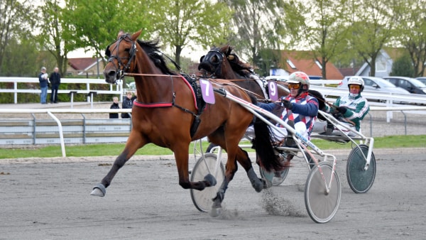 Fyens Væddeløbsbane: Sæson-præmiere i al slags vejr | fyens.dk