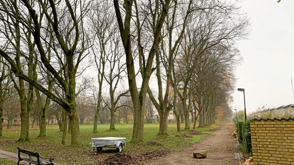 På sporet: Håb om at skæve boliger kan placeres ved nedlagt jernbane på ...