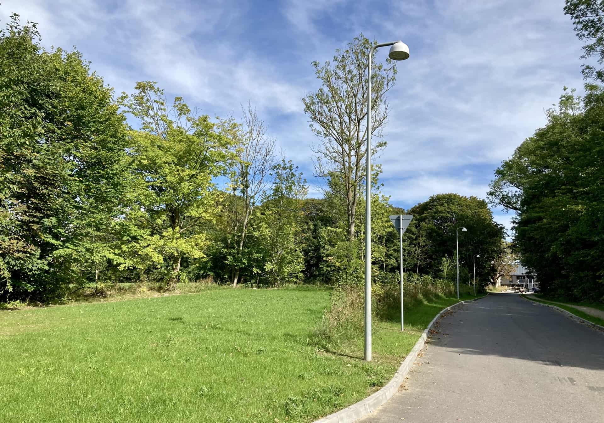 Grundejerforening bekymret for udsigten til 42 meter høj telemast ...
