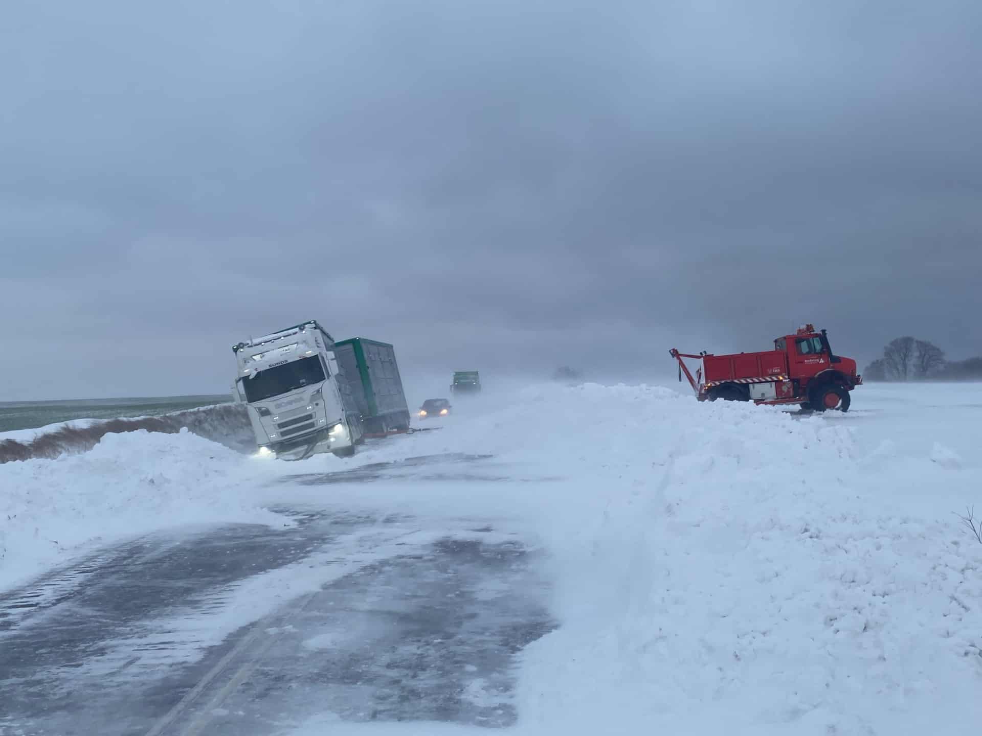 Grisetransport kørte af vejen: Den ventede i timevis på at blive ...