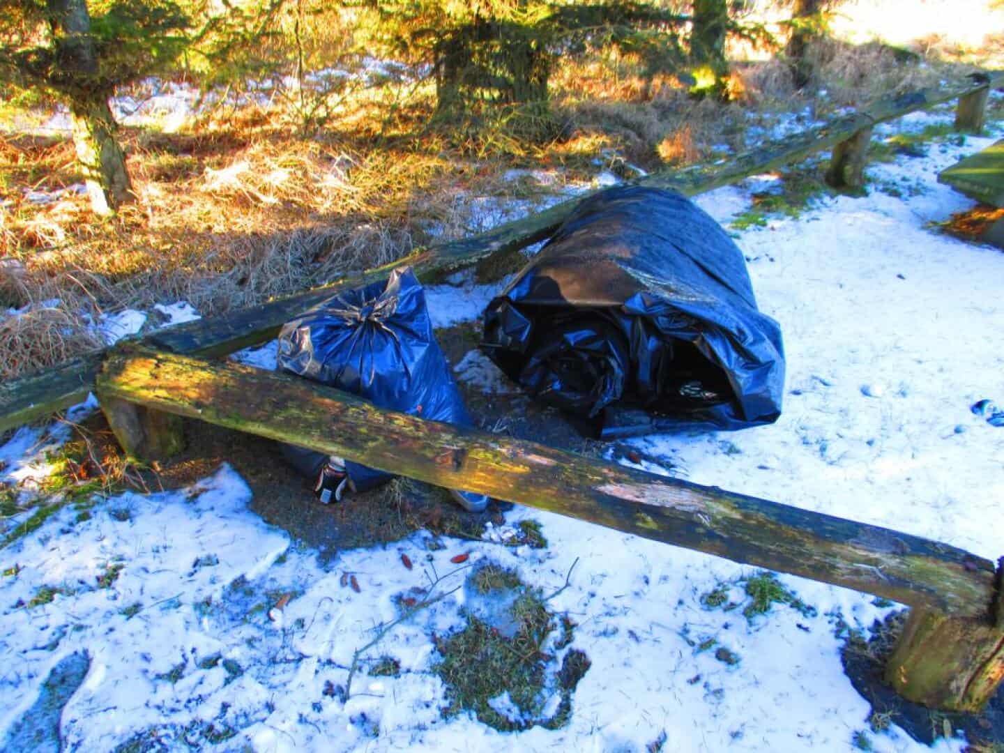 SE FOTOS - Affaldssvineri på Solvig Voldsted ved Tønder | ugeavisen.dk