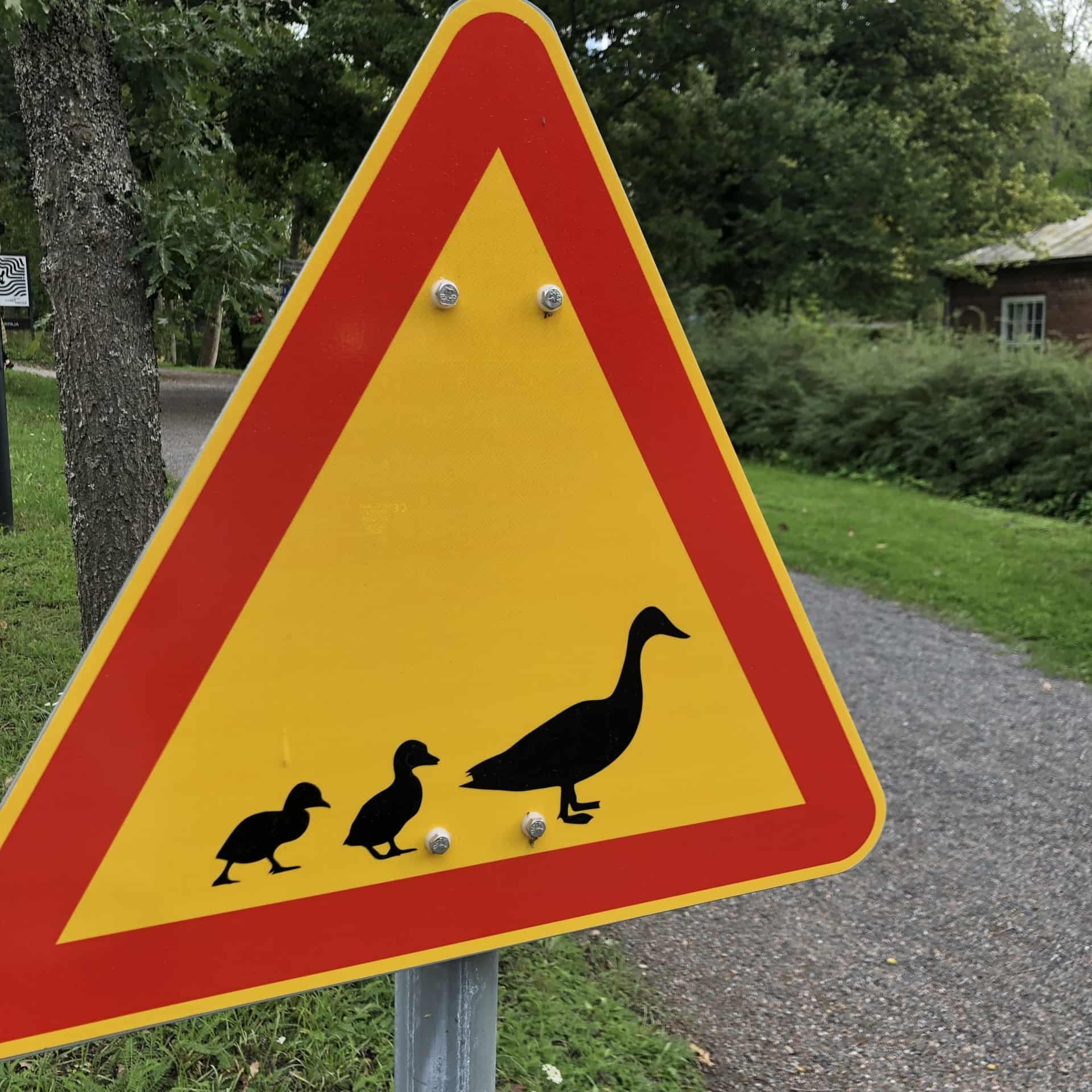 Besøg byen, hvor alt, hvad man sidder på, drikker af eller rører ved, er lækkert finsk design ...