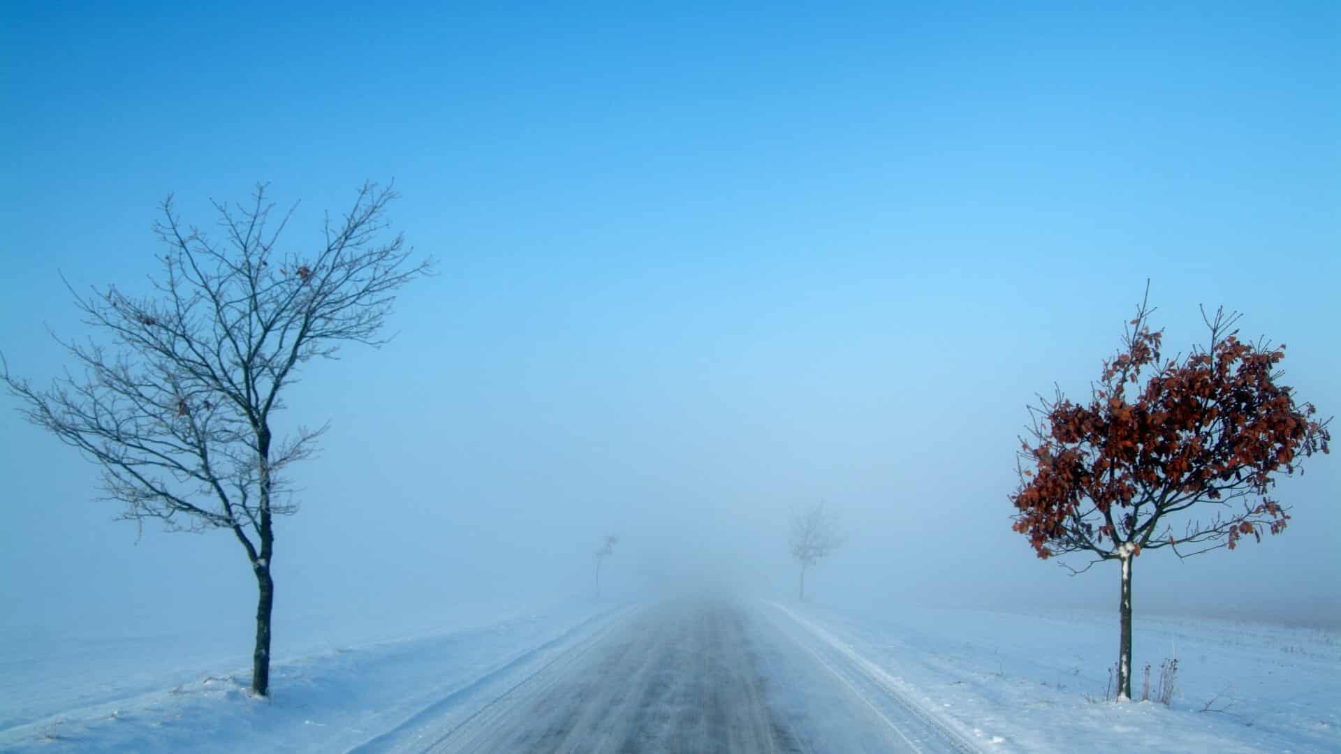 En uge med mere slud og sne står for døren | avisendanmark.dk
