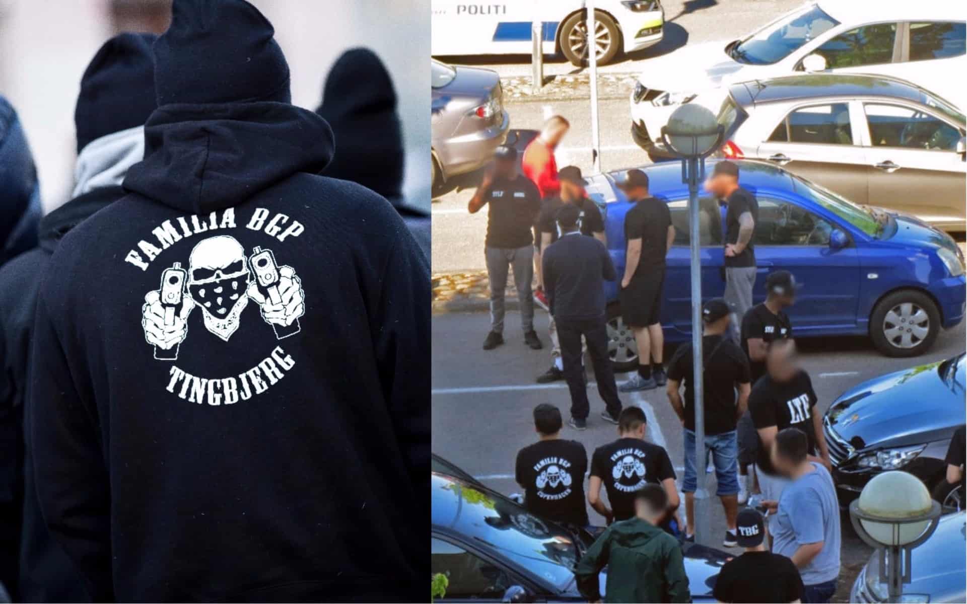 LTF opruster med hjælp fra bande-kolleger landet over | stiften.dk