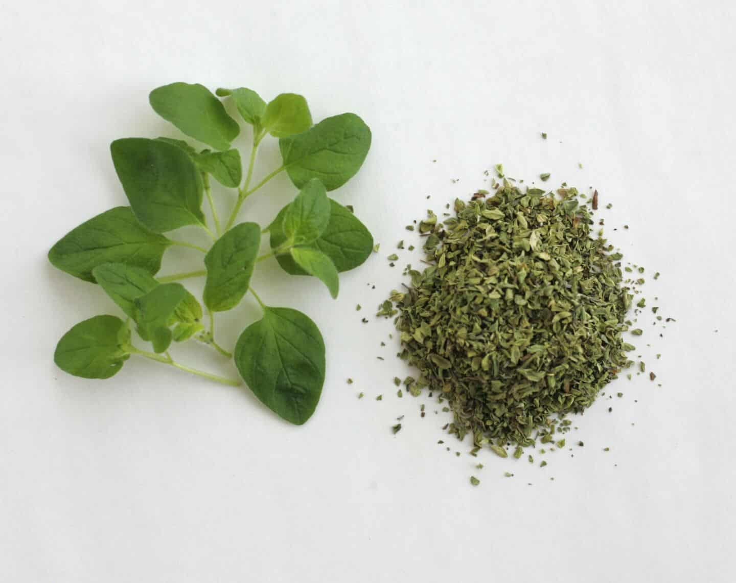 Test afslører snyd: Tørret oregano er fyldt med visne blade fra træer ...