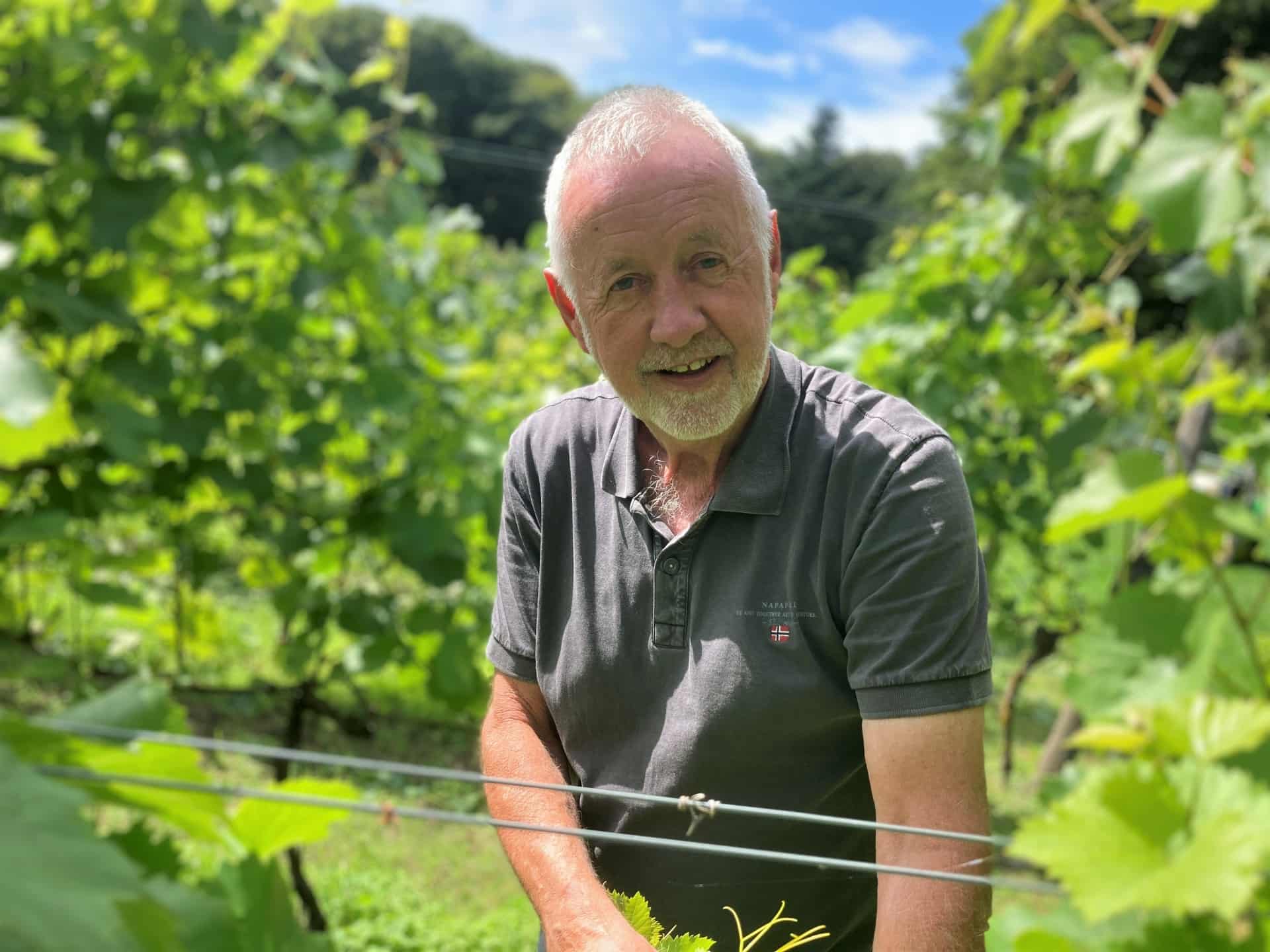 Nu kan du få dine egne vinstokke og tappe din egen vin: Anerkendt ...