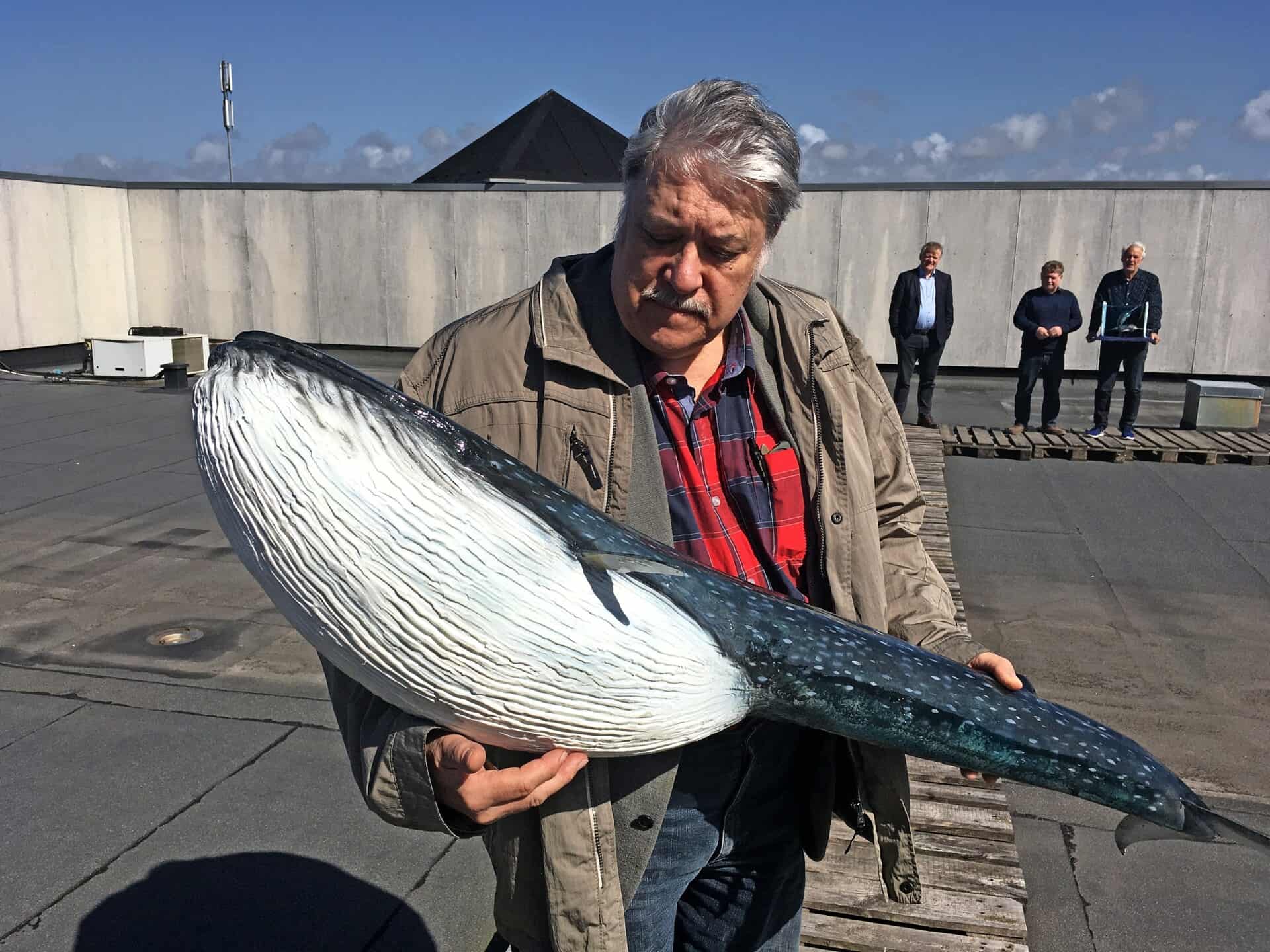 Sov i maven på en blåhval: Planer om at bygge verdens største hvalpark ...