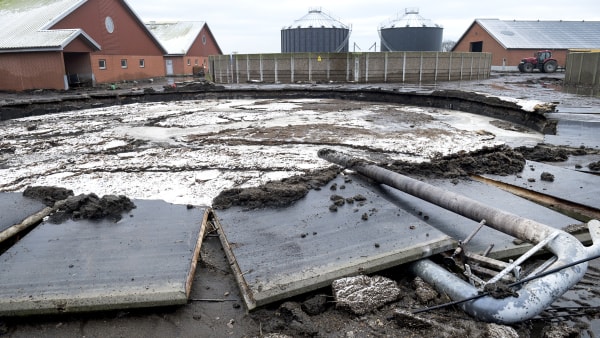 Gylle i Gylling: Tank fyldt med gylle kollapsede, da manøvre gik galt ...