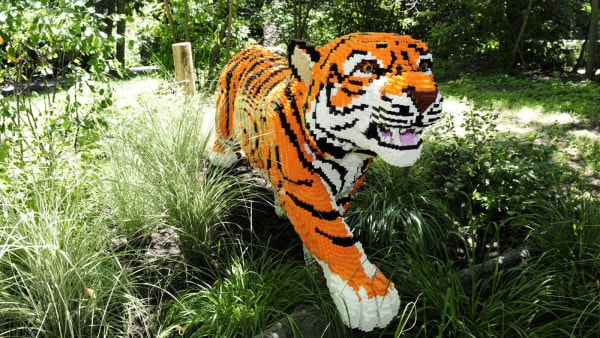 Vilde Lego-dyr i betonjunglen | jv.dk