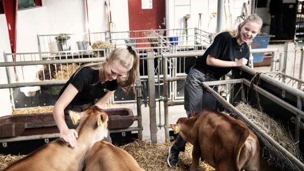 Her uddannes de unge til fremtidens landbrug | jv.dk
