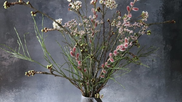 Helle Troelsen: Rosa pil i symfoni med kirsebærgrene | stiften.dk