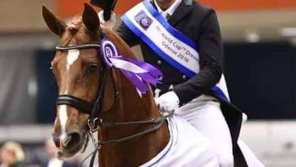 Spansk OL-rytter underviser lokale ryttere | jv.dk