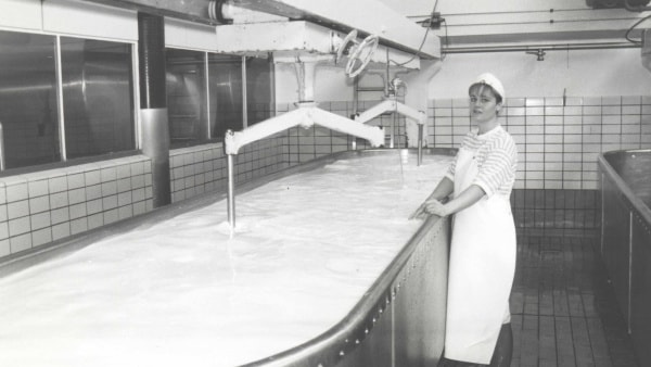 Riberhus-ost den mest spiste | jv.dk