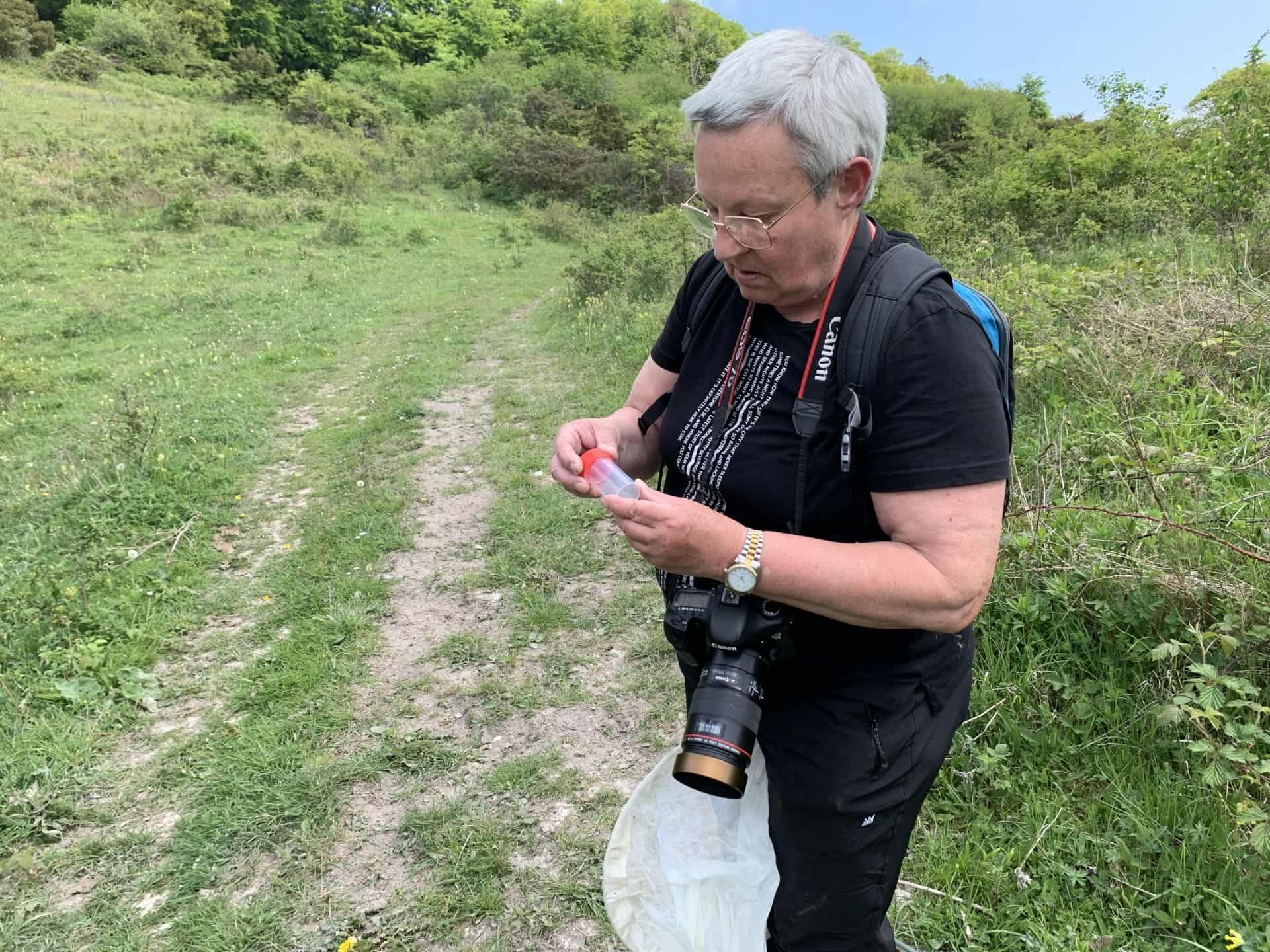 Foredrag og udstilling på Ringe Bibliotek: Danmarks vilde bier ...
