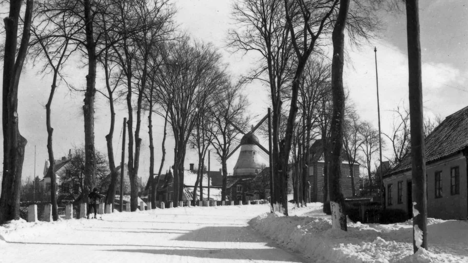 Ugens foto: Kong Vinter ramte Koldingvej | ugeavisen.dk