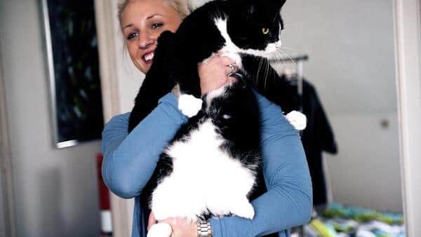 Nyt tilbud: Slankeklub for fede dyr | jv.dk