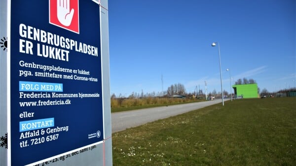 Godt nyt til haveejere: Sådan kan du komme af med de visne blade og ...