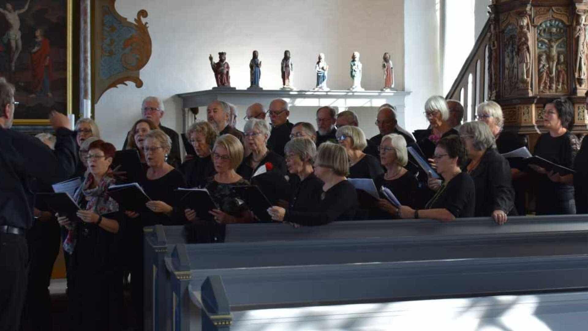 Alsisk kor er klar til nye medlemmer | ugeavisen.dk
