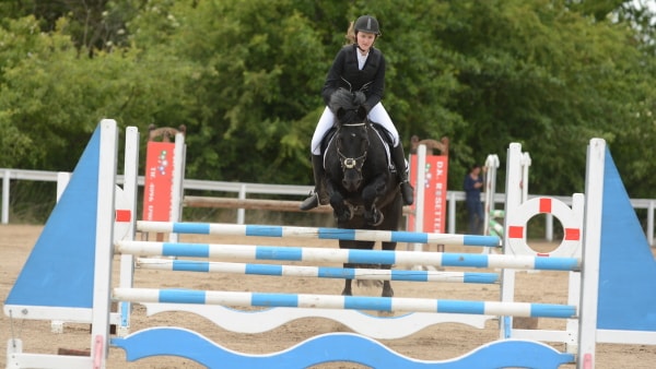 Heste og ryttere på spring | fyens.dk