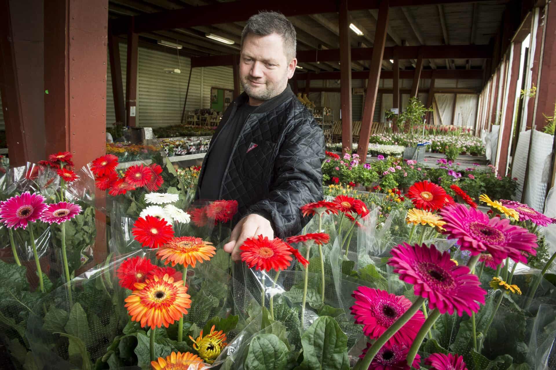 Billig Blomst åbner i Randers | ugeavisen.dk