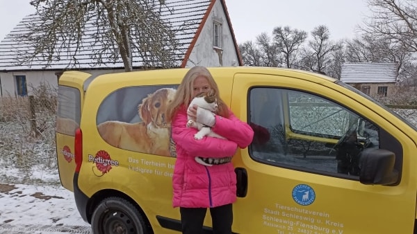 Kat kom velbeholden hjem efter flere hundrede kilometers rejse som ...