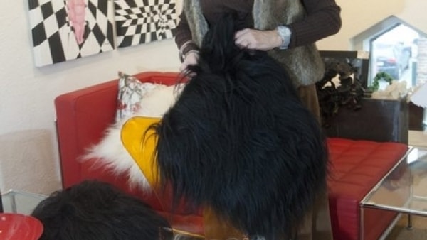 Specialbutikker med stor erfaring | ugeavisen.dk