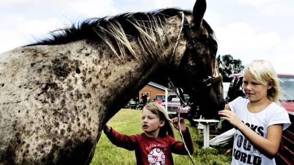 Piger, heste og prangere | jv.dk