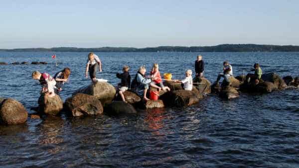 Familietur til Daugård Strand | ugeavisen.dk