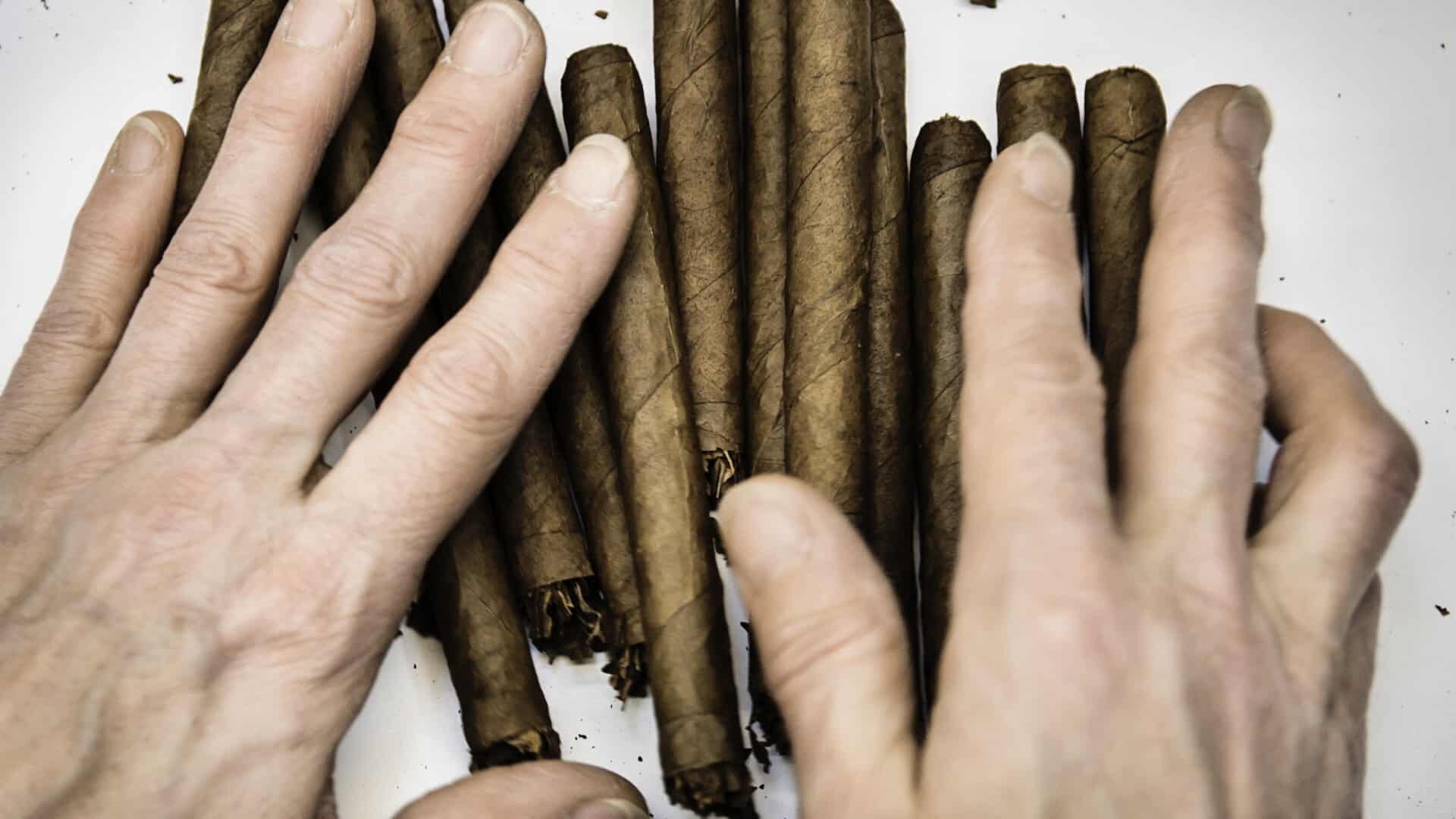 Amerikaneres hang til cigarer giver vækst hos dansk tobakskæmpe ...
