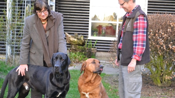 Kongens gamle danske hunde bor i Nordenskov | ugeavisen.dk