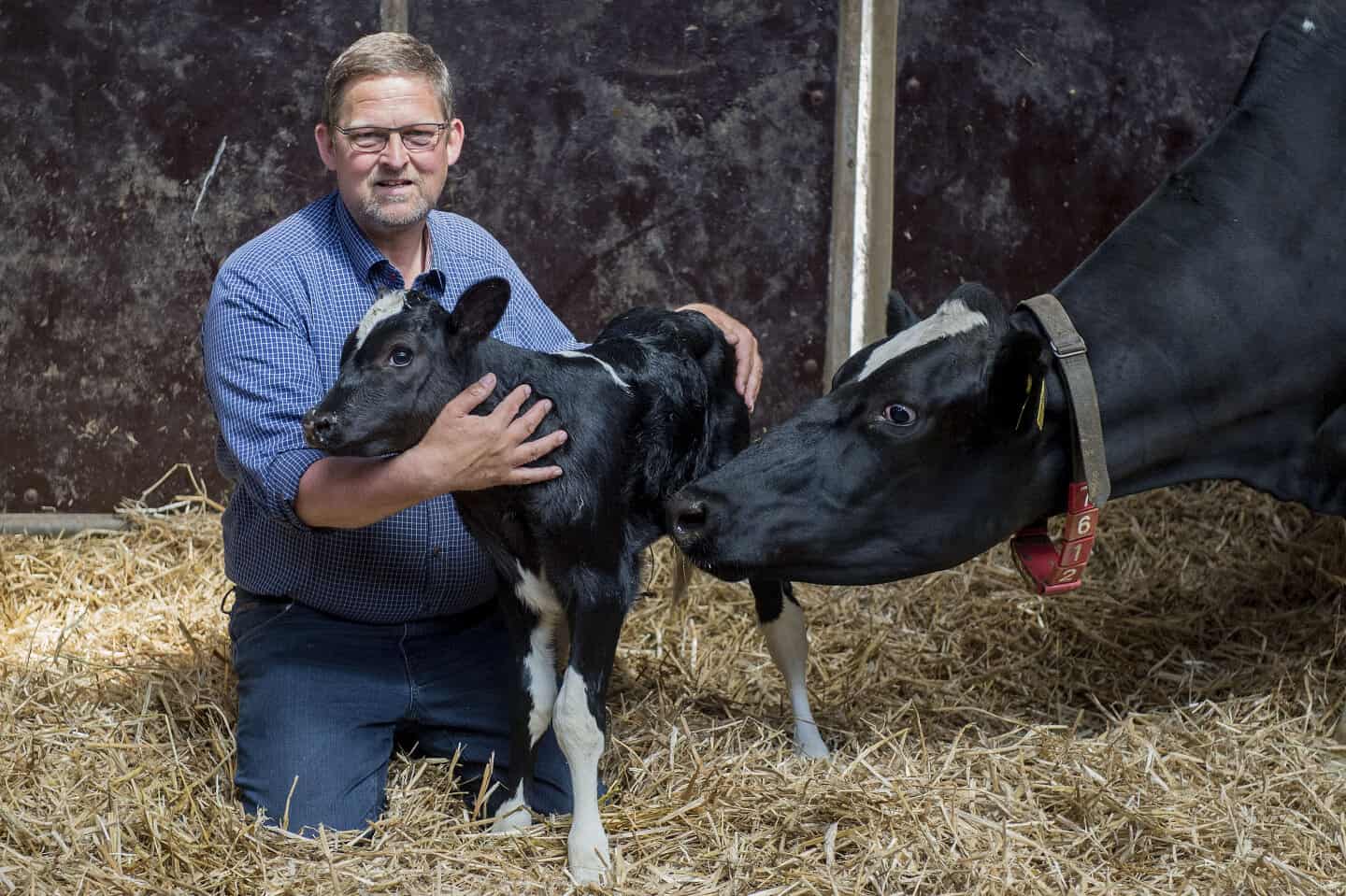 Konfirmationspengene gik til to malkekøer. Nu fylder Jan Toft Nørgaard ...