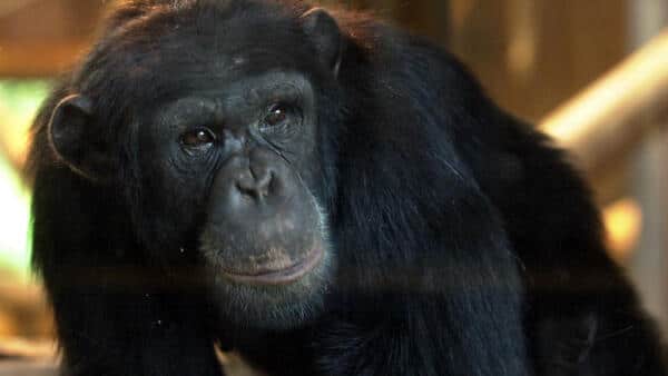 Edwin og det nye hjem | fyens.dk