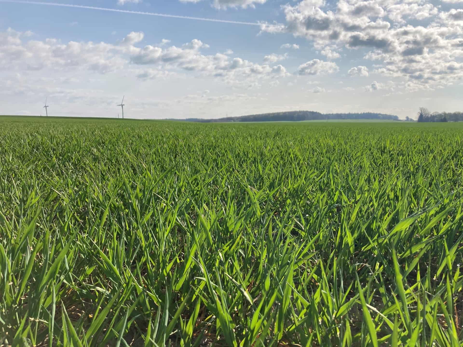 Solcelleopstiller har fokus på inddragelse af naboer | favrskovliv.dk