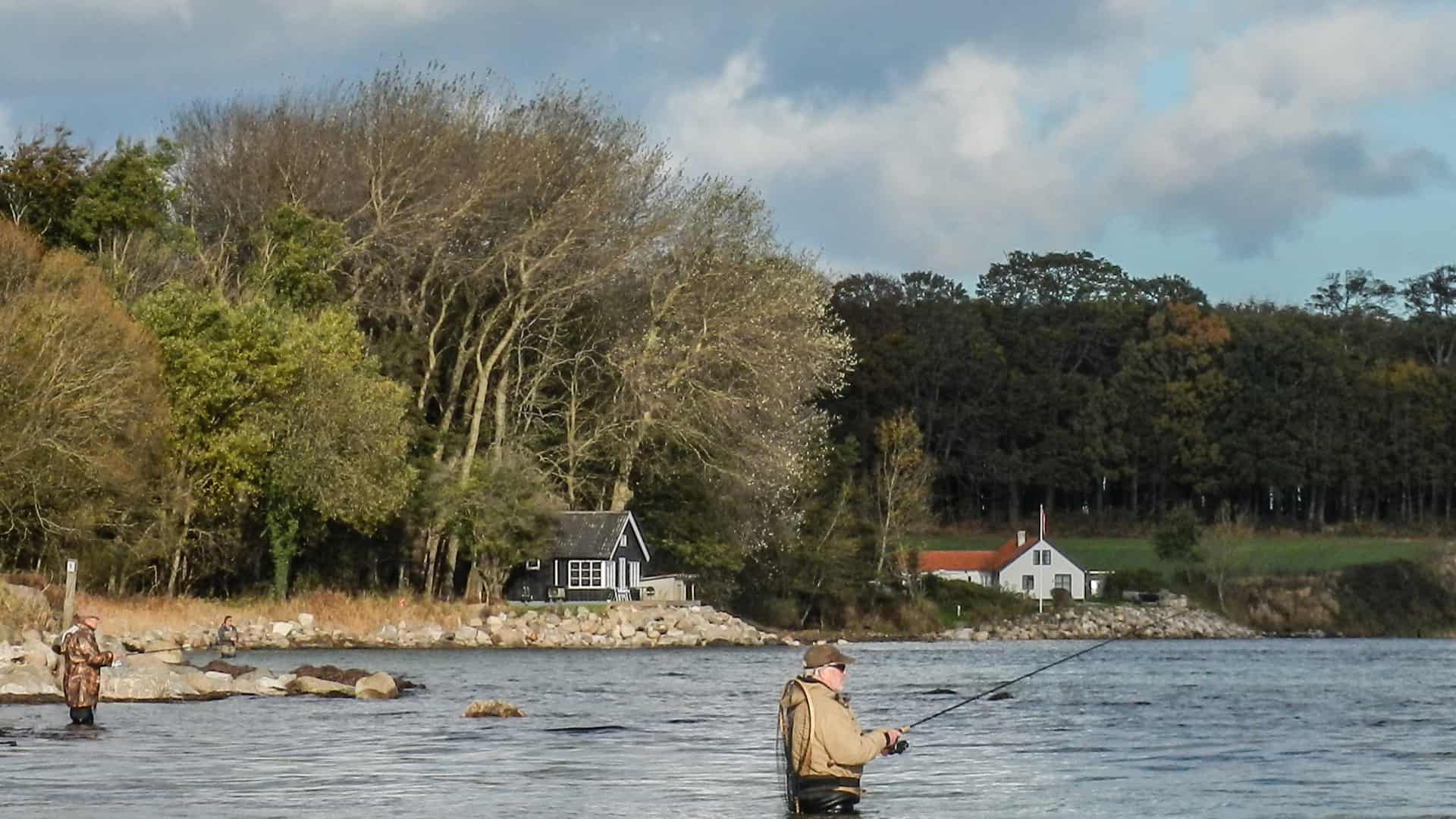 Alsisk Fiskeweekend 2025 | ugeavisen.dk